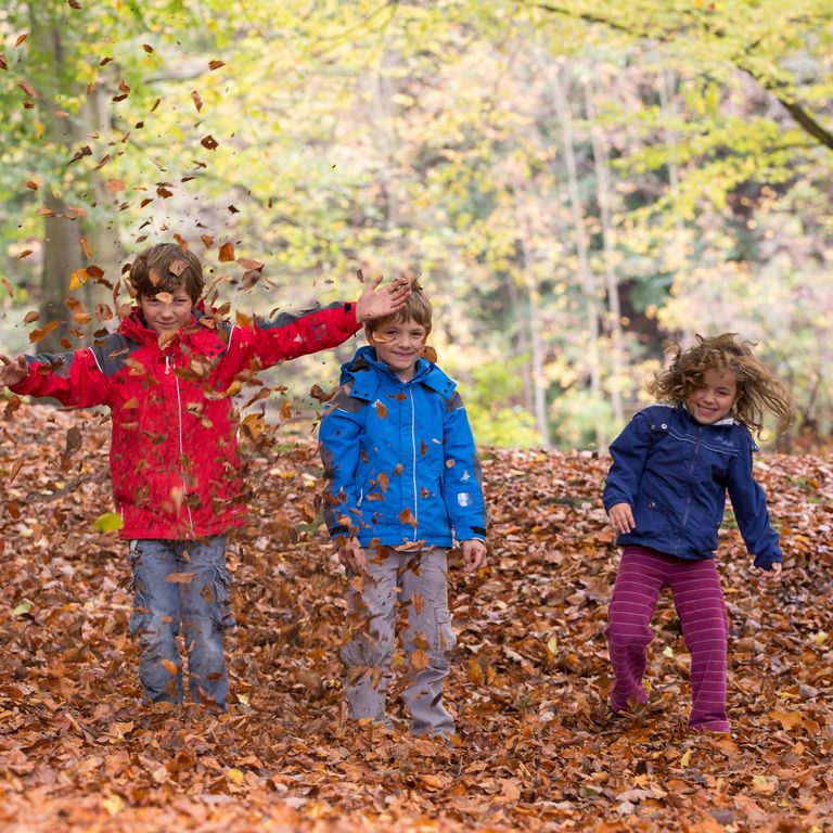 Autumn in Leipzig ♥ Leipzig Region